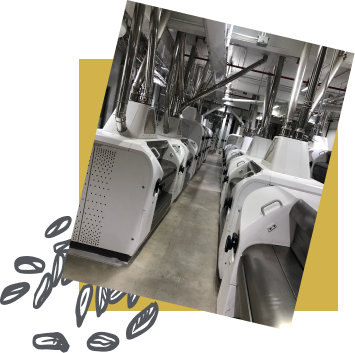 P&H Milling – Flour Milling & Pea Proteins